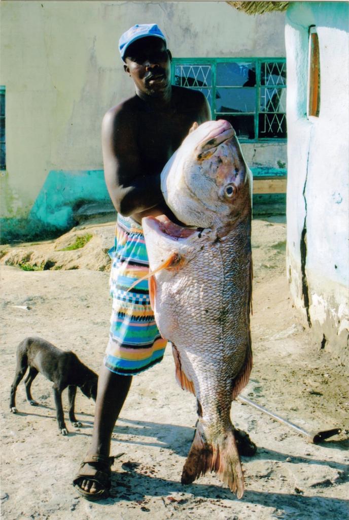 Umngazana Cottage | Wild Coast