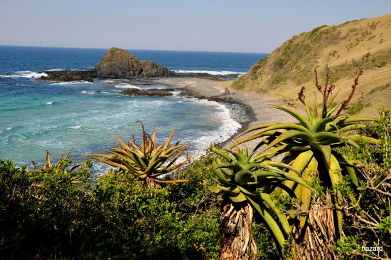 Silaka Nature Reserve | Wild Coast