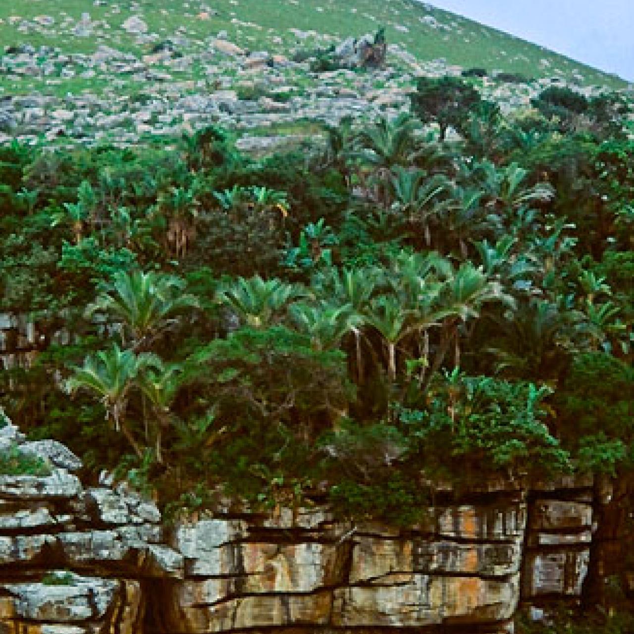 xolobeni | Wild Coast