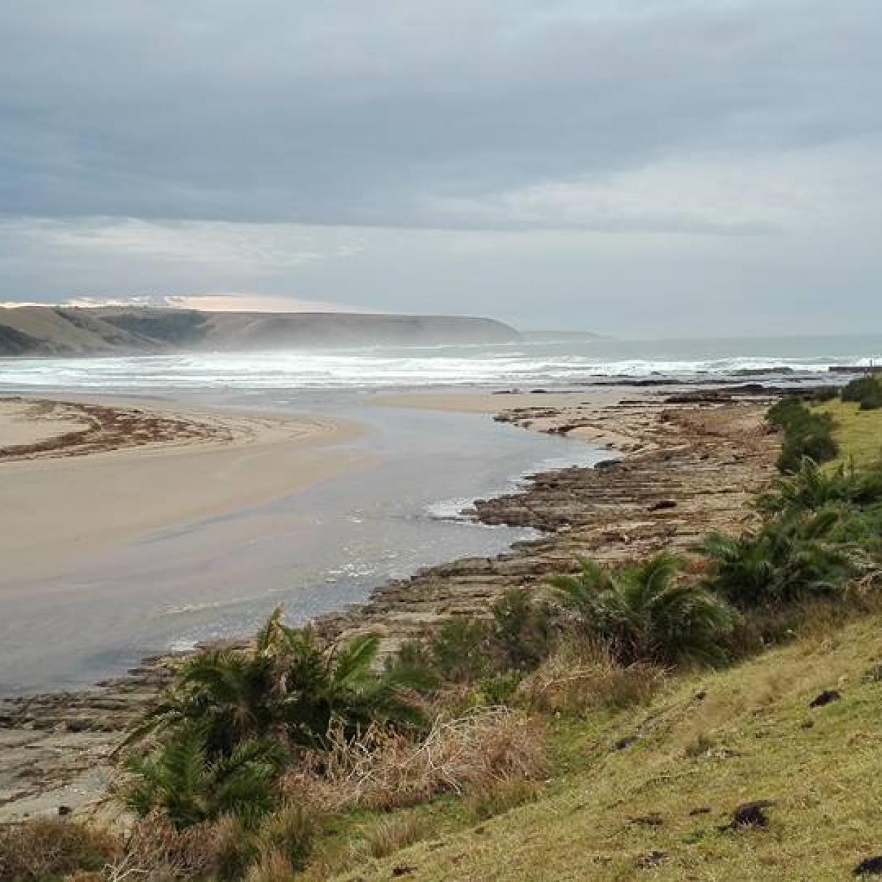 Wild Coast | Accommodation & Information