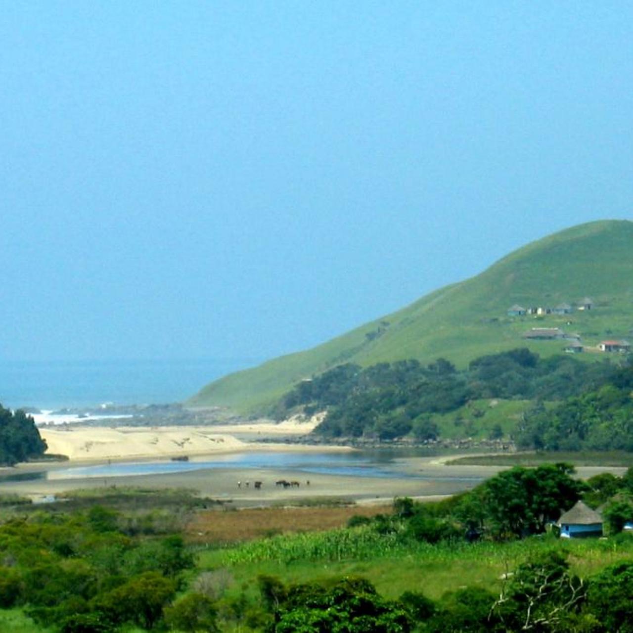 Wild Coast | Accommodation & Information