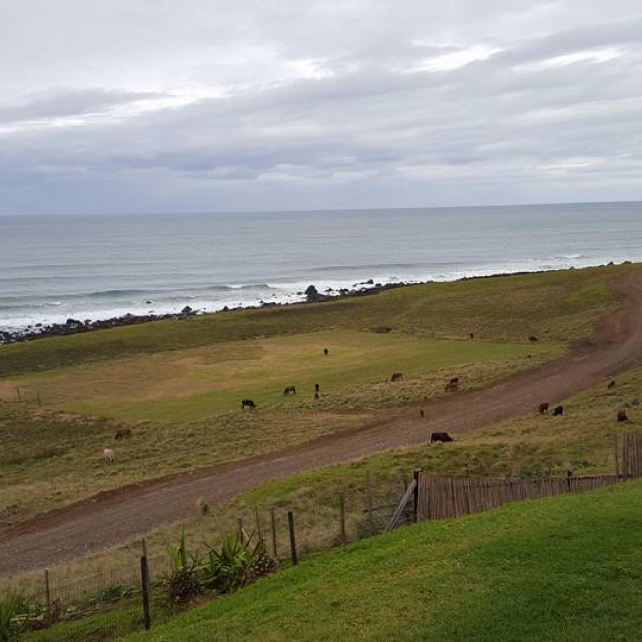 Wild Coast | Place: Mzamba to Port St Johns