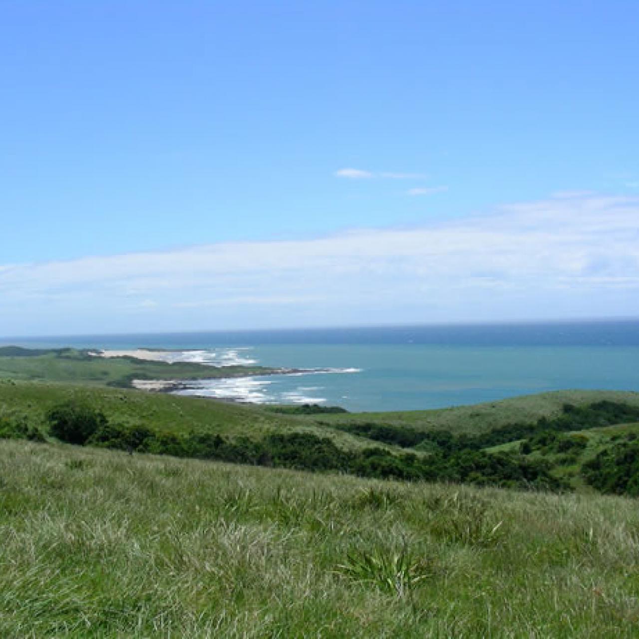 Hiking Wild Coast