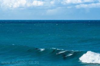 Mdumbi Backpackers | Wild Coast